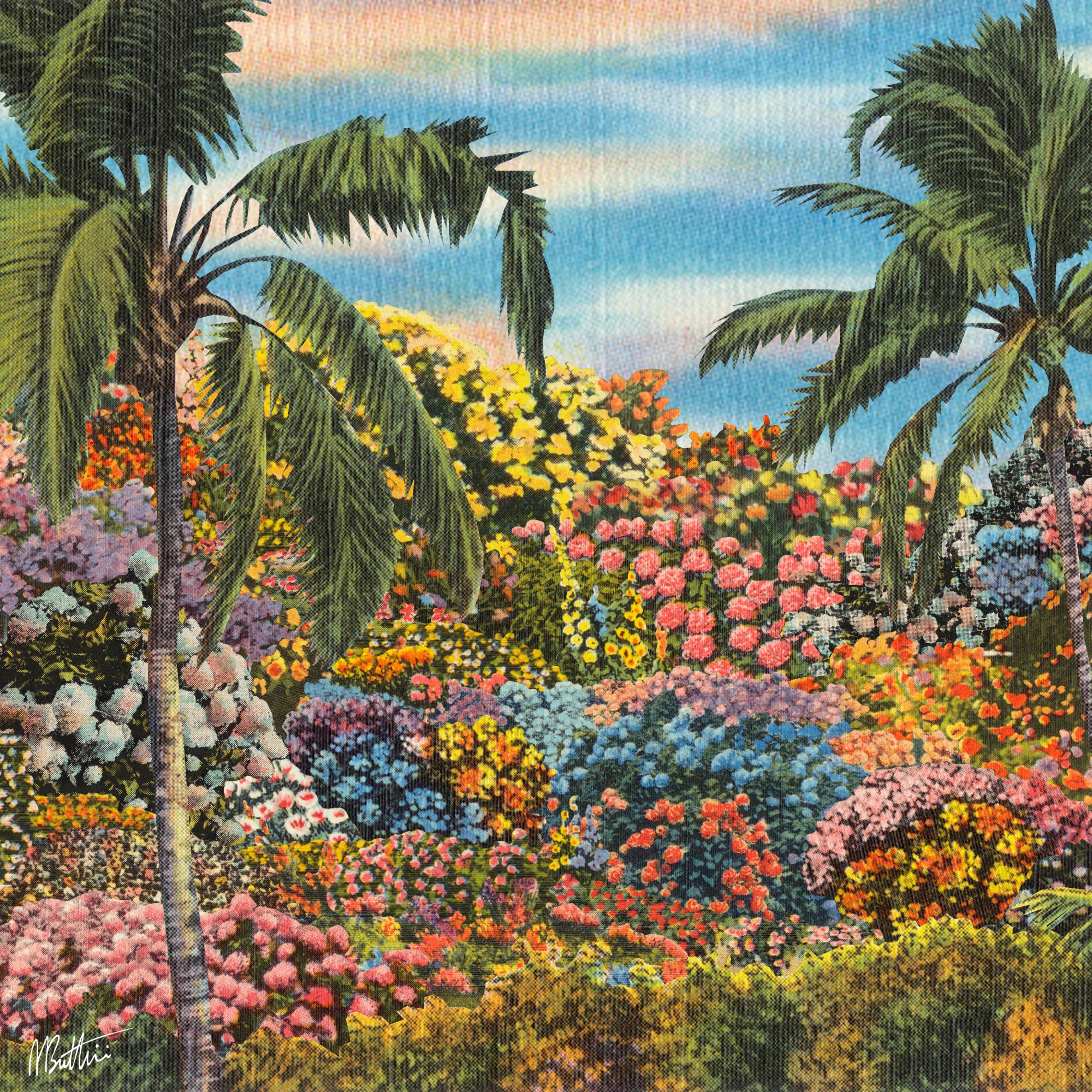 Madelaine Buttini | Australian Collage Artist